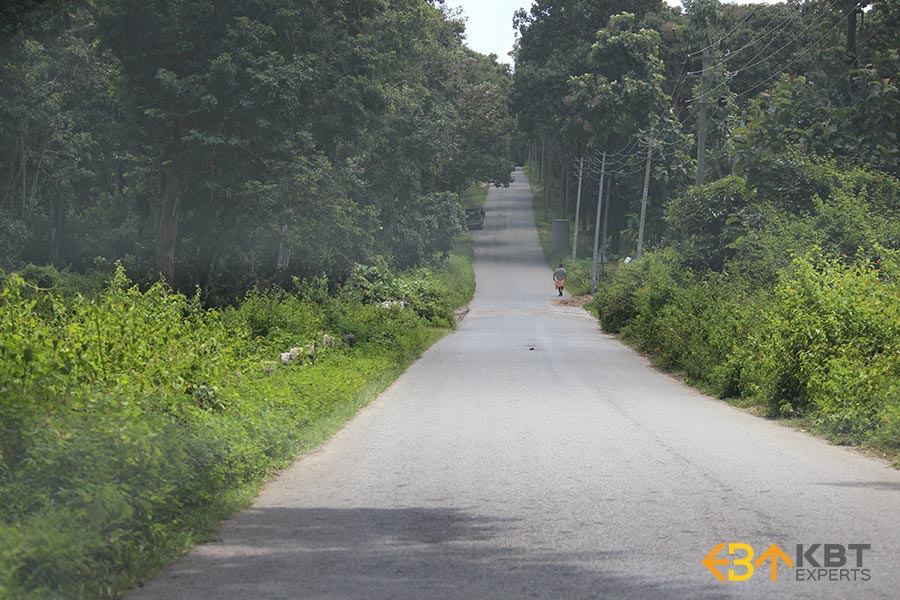 kattikulam-bavali-forest-road • Tech Travel Eat