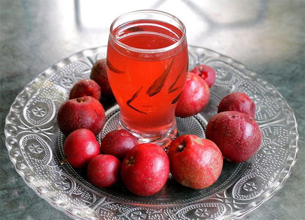 kokum-fruit-juice-goa • Tech Travel Eat