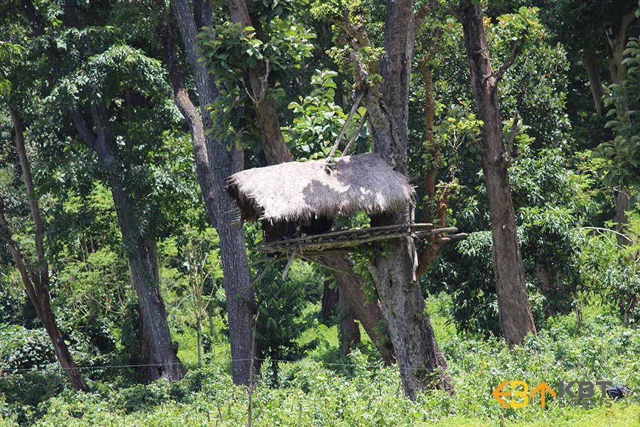tree-huts-seen-on-agricultural-lands-of-karnataka • Tech Travel Eat