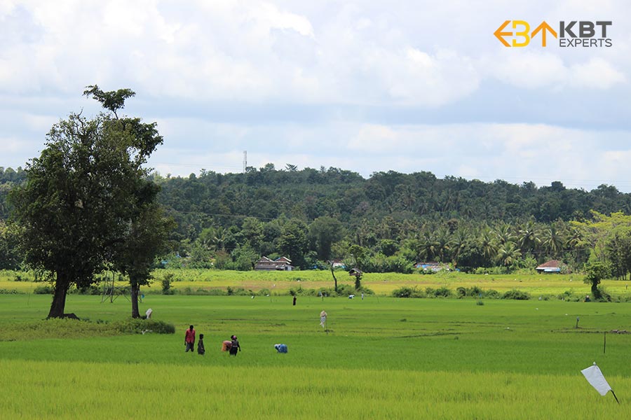 village-seen-on-kattikulam-bavali-road • Tech Travel Eat