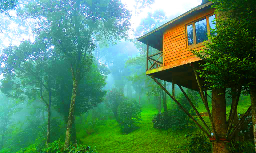 nat • Tech Travel Eat