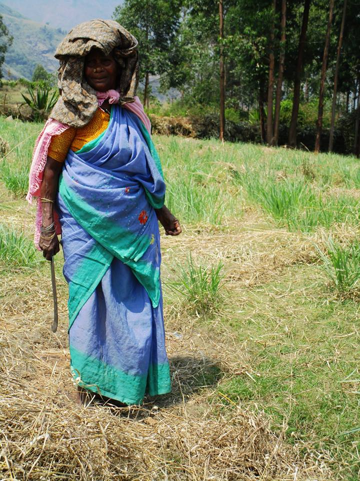 g2 • Tech Travel Eat