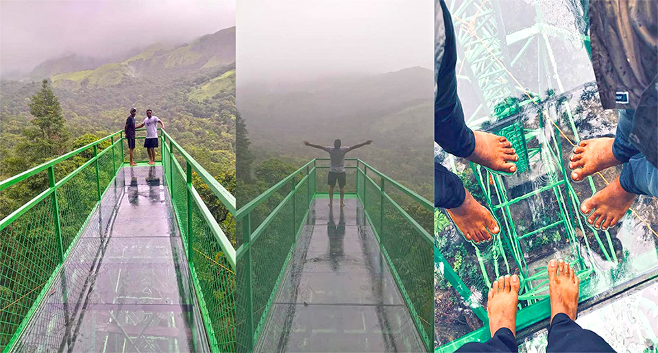 glass bridge wayanad • Tech Travel Eat